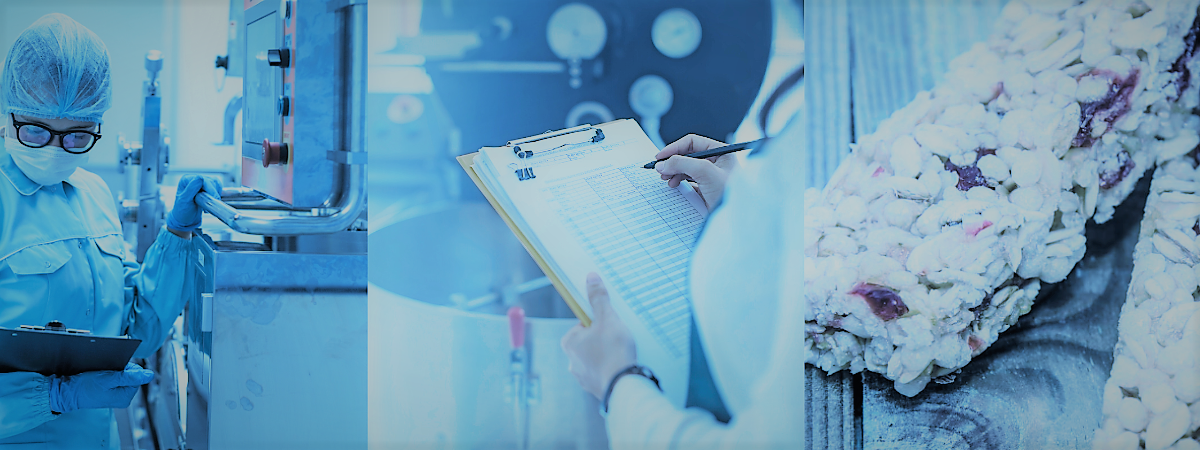 Product Development Bootcamp Sample Module